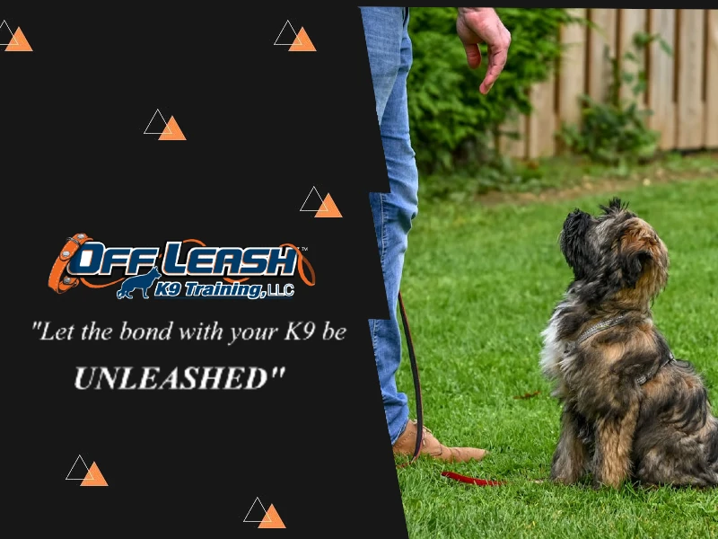 OKC Dog Training | Off Leash K9 Training of Oklahoma City